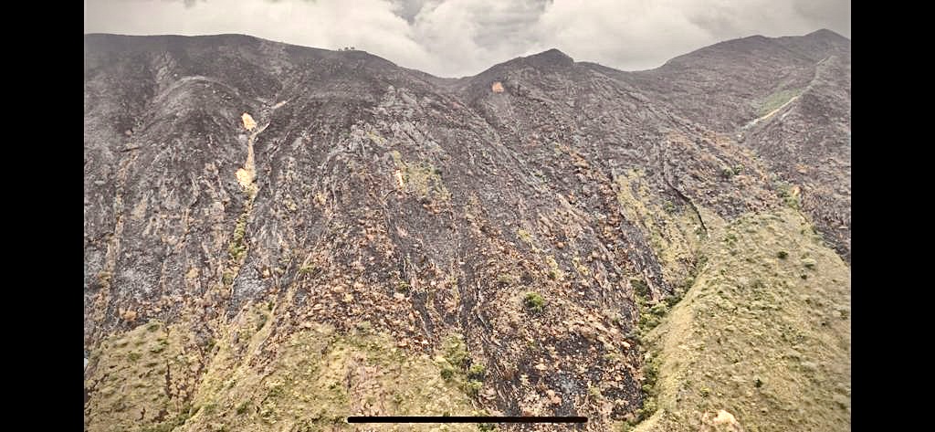 Extinguido incendio forestal en Palermo, Huila | Fuerza Aérea Colombiana